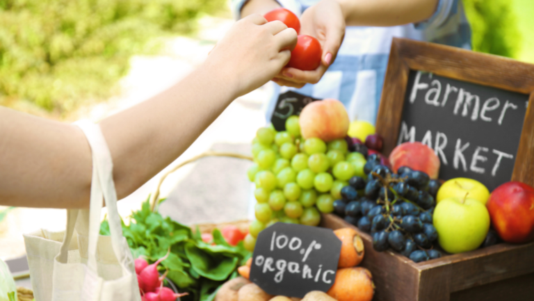 Explore Calgary’s Farmers’ Markets – MSBCA Calgary
